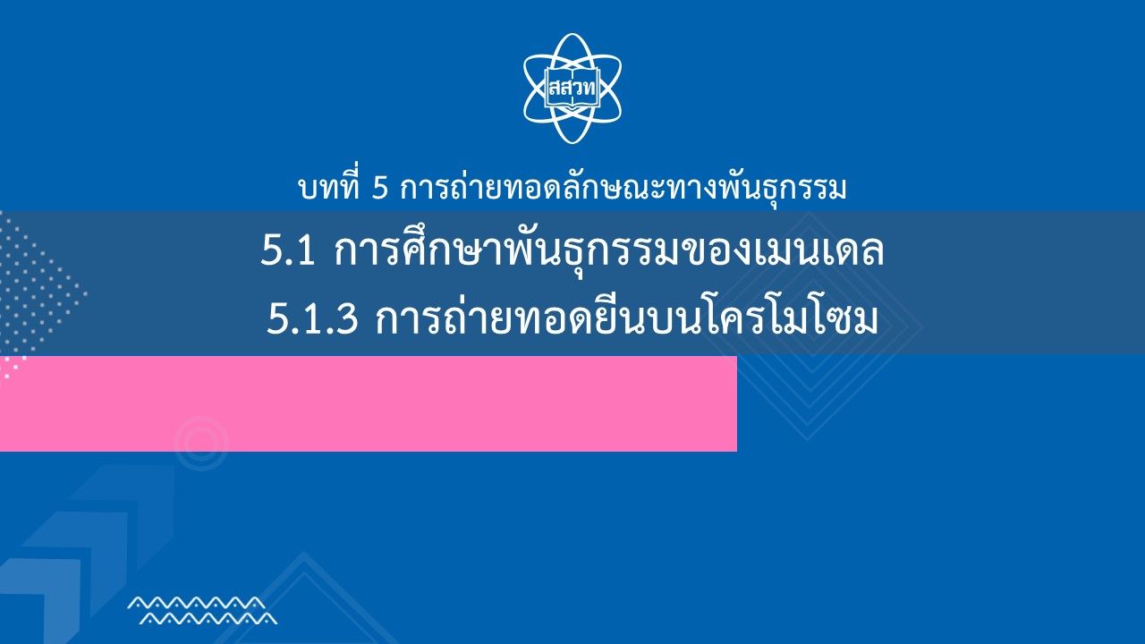 5.1.3 การถ่ายทอดยีนบนโครโมโซม - My IPST